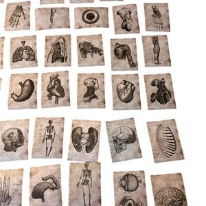 Design | Anatomy Human Body Skeleton Stickers | Poshmark